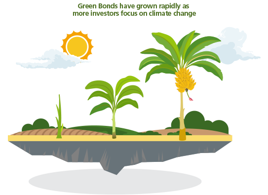 Understanding green bonds