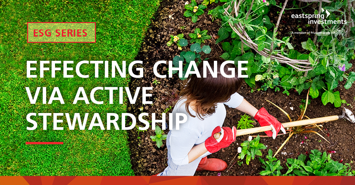 Effecting change via active stewardship