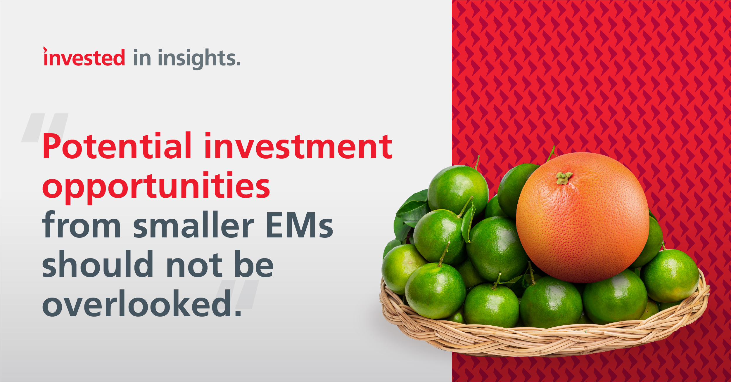 Why an Emerging Market ex China strategy offers a new opportunity set