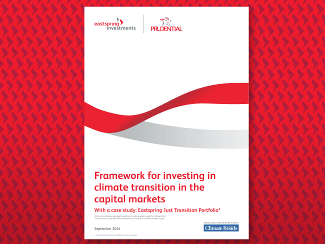 Framework for investing in climate transition in the capital markets